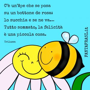 Frasi sulle Api | FANTAFRASI.it